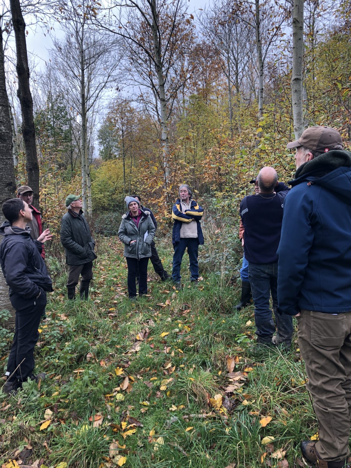Welsh woodland demonstrates how trees can be a viable option for ...