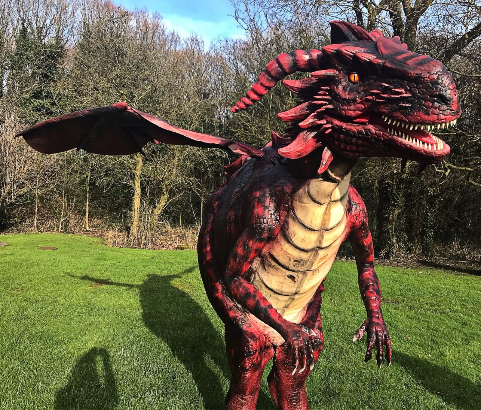 Dreygo the dragon makes a lair in Mermaid Quay for St David’s Day ...