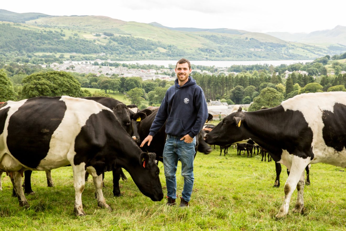 Farm teams up with Farming Connect to accelerate genetic potential of ...