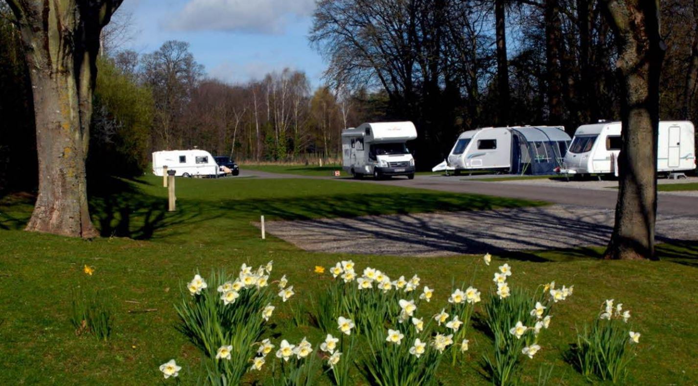 Major redevelopment of Newport caravan site set for approval - Herald.Wales