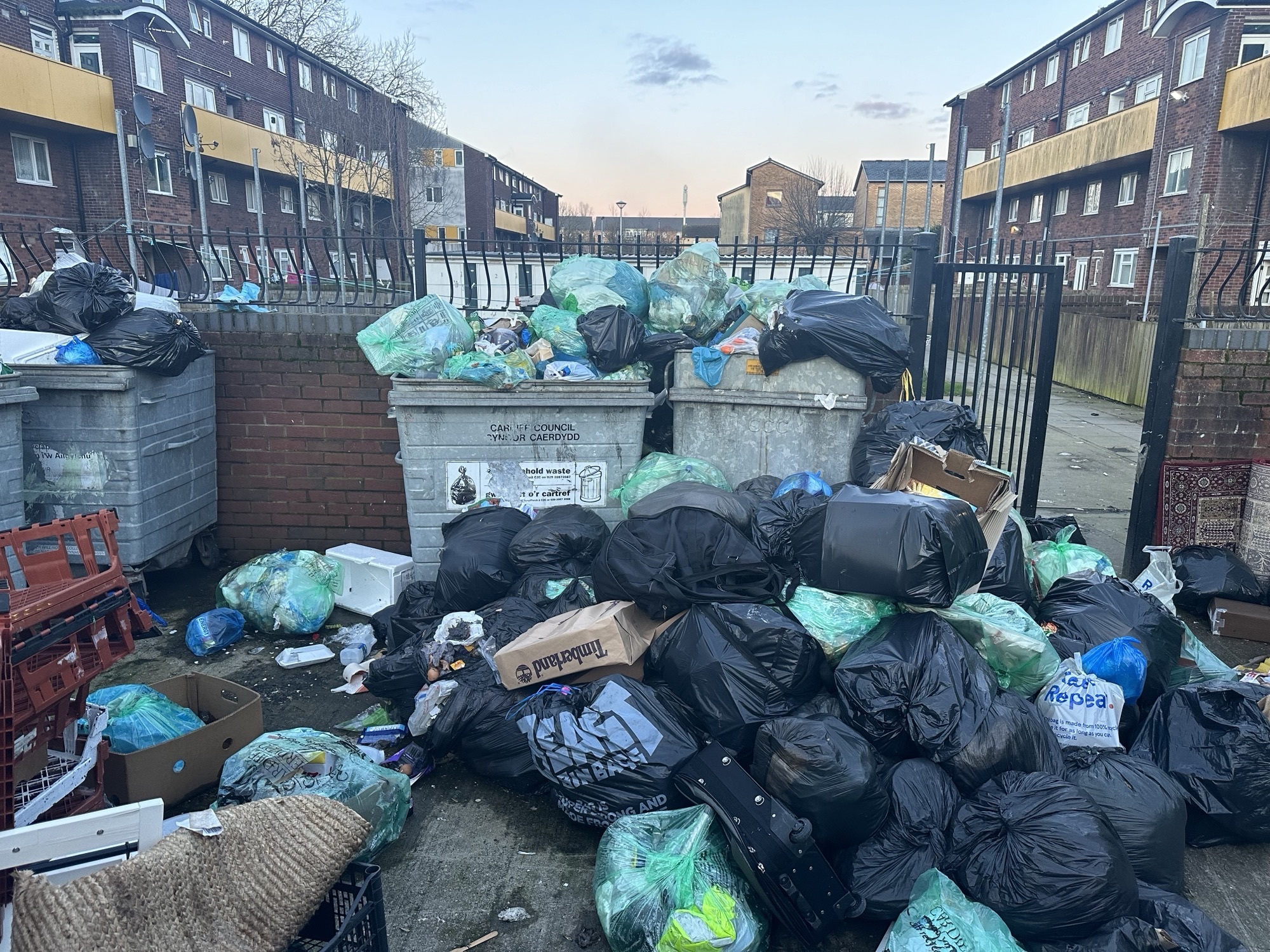 Cardiff woman left on floor for half an hour after slipping in ...