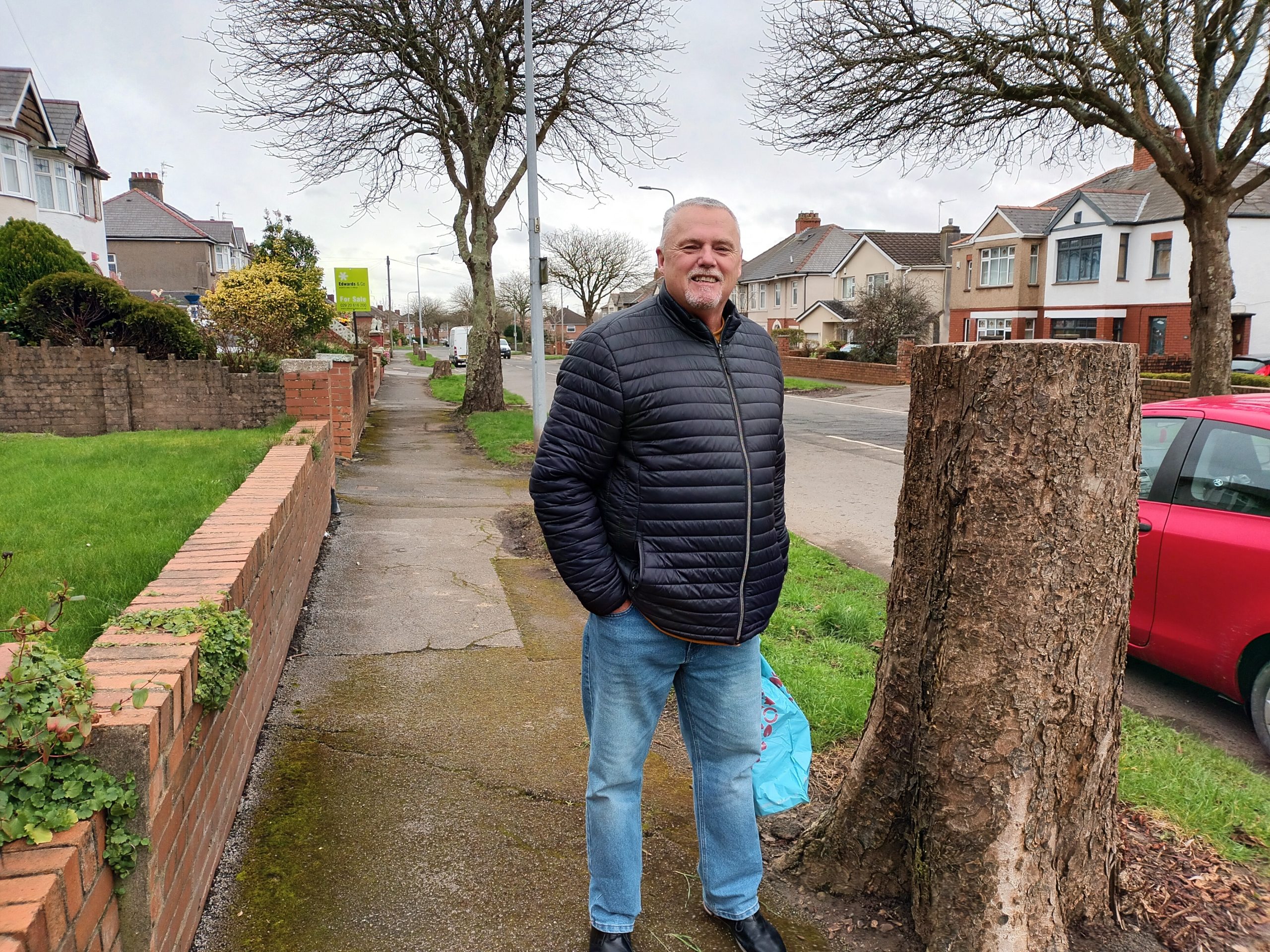 Cardiff residents in shock after mature trees chopped down - Herald.Wales