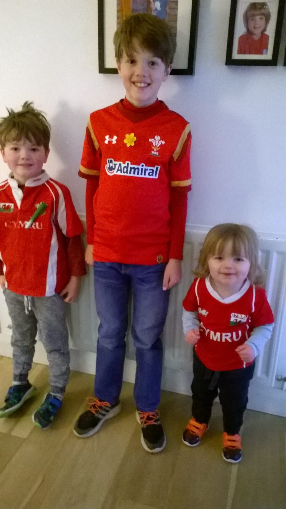 Boys’ raise over £2,000 in memory of their brother - Herald.Wales