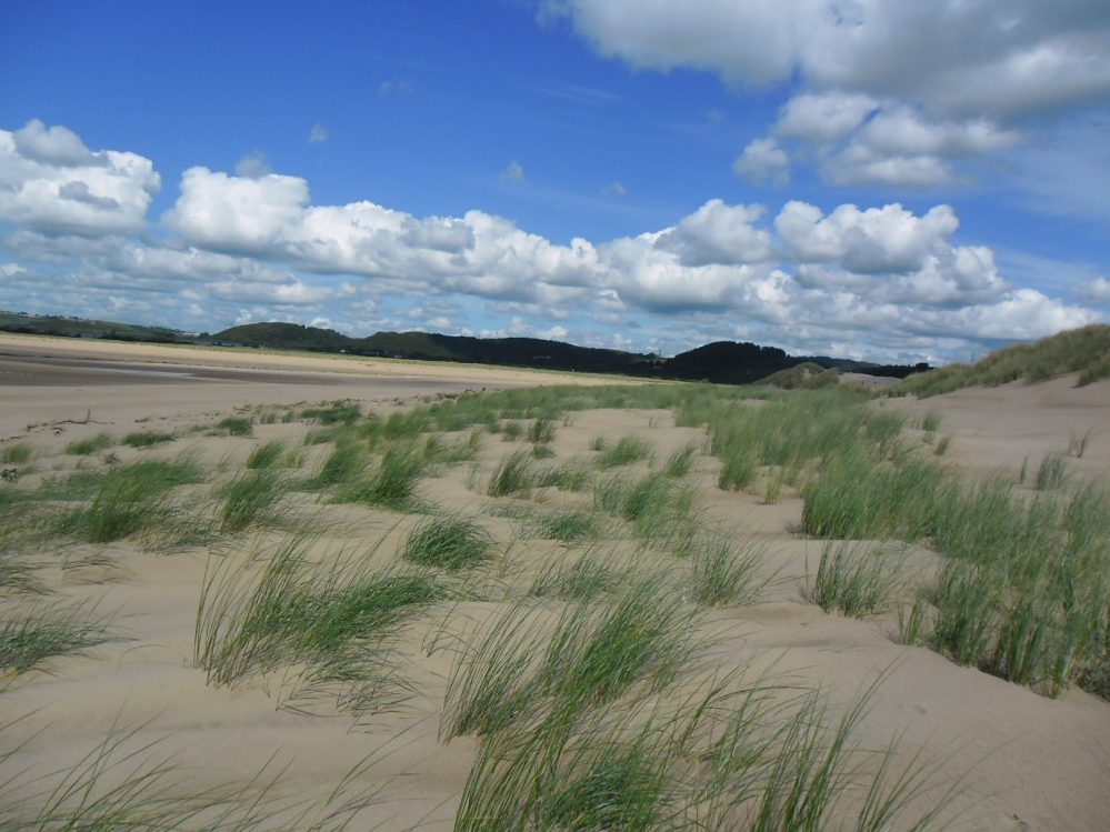 Neath Port Talbot’s Coastal Connections Project – Empowering People and ...