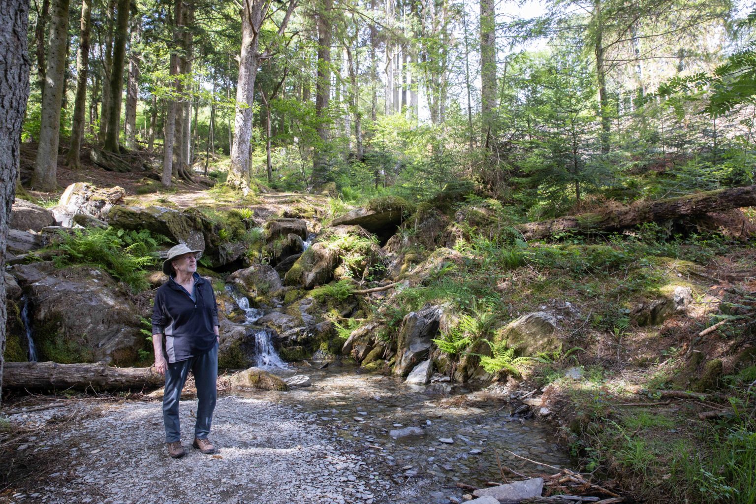 A day of nature, music, and demonstrations at the Elan Valley Celtic ...