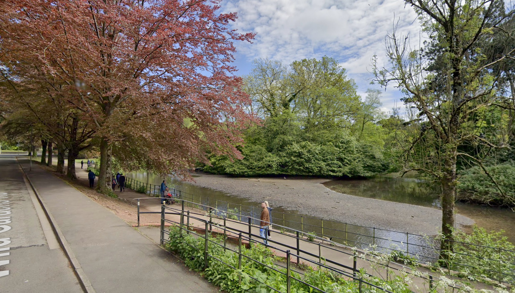 Residents calling popular Cardiff park lake 'fetid swamp' that needs ...