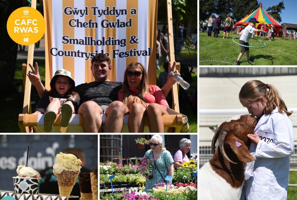 Countdown to Smallholding and Countryside Festival - Herald.Wales