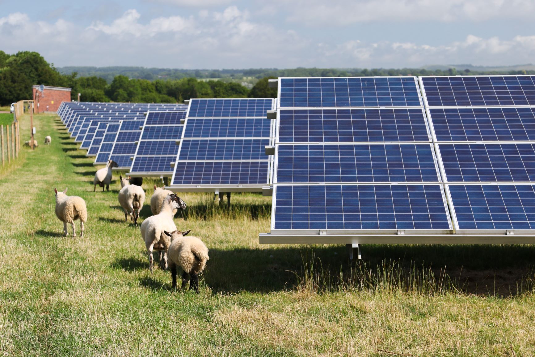 Major solar farm plans in Wrexham set to move forward next month ...