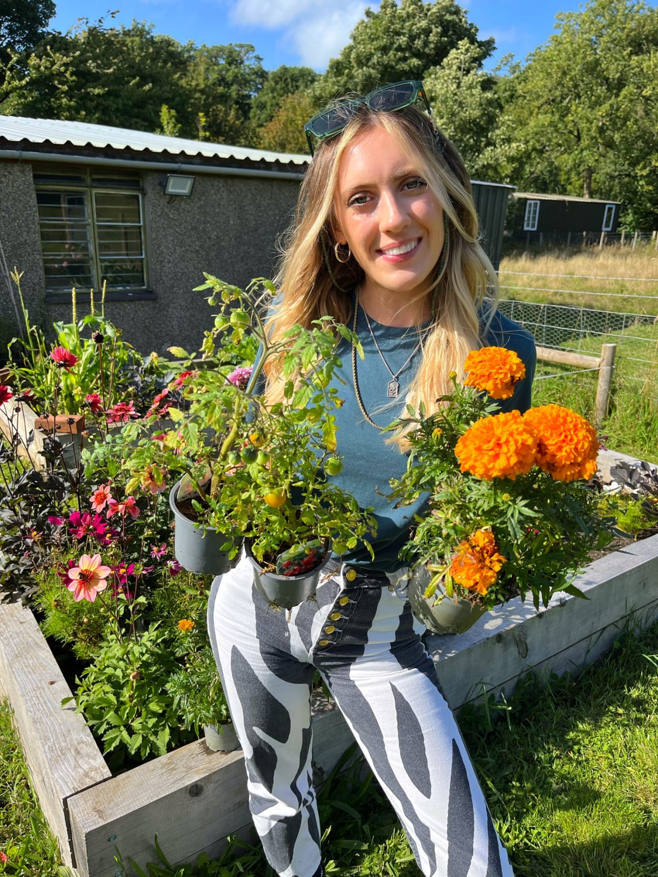 Welsh TV gardener calls on people of Wales to reduce pesticide use to ...