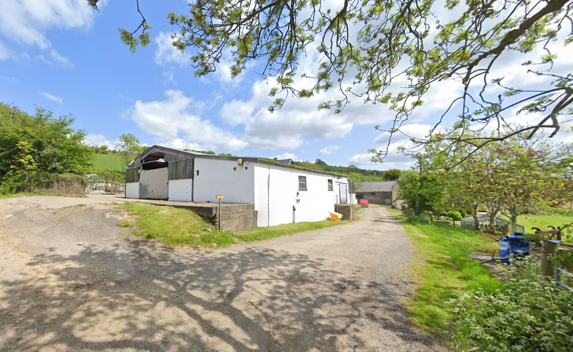 Bedwas farmers hope to open dog-walking area as part of ...