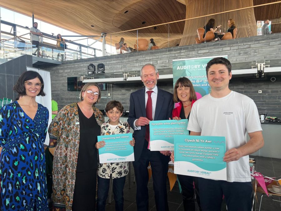 Deaf young people meet Members of the Senedd calling for life-transforming therapy - Herald.Wales