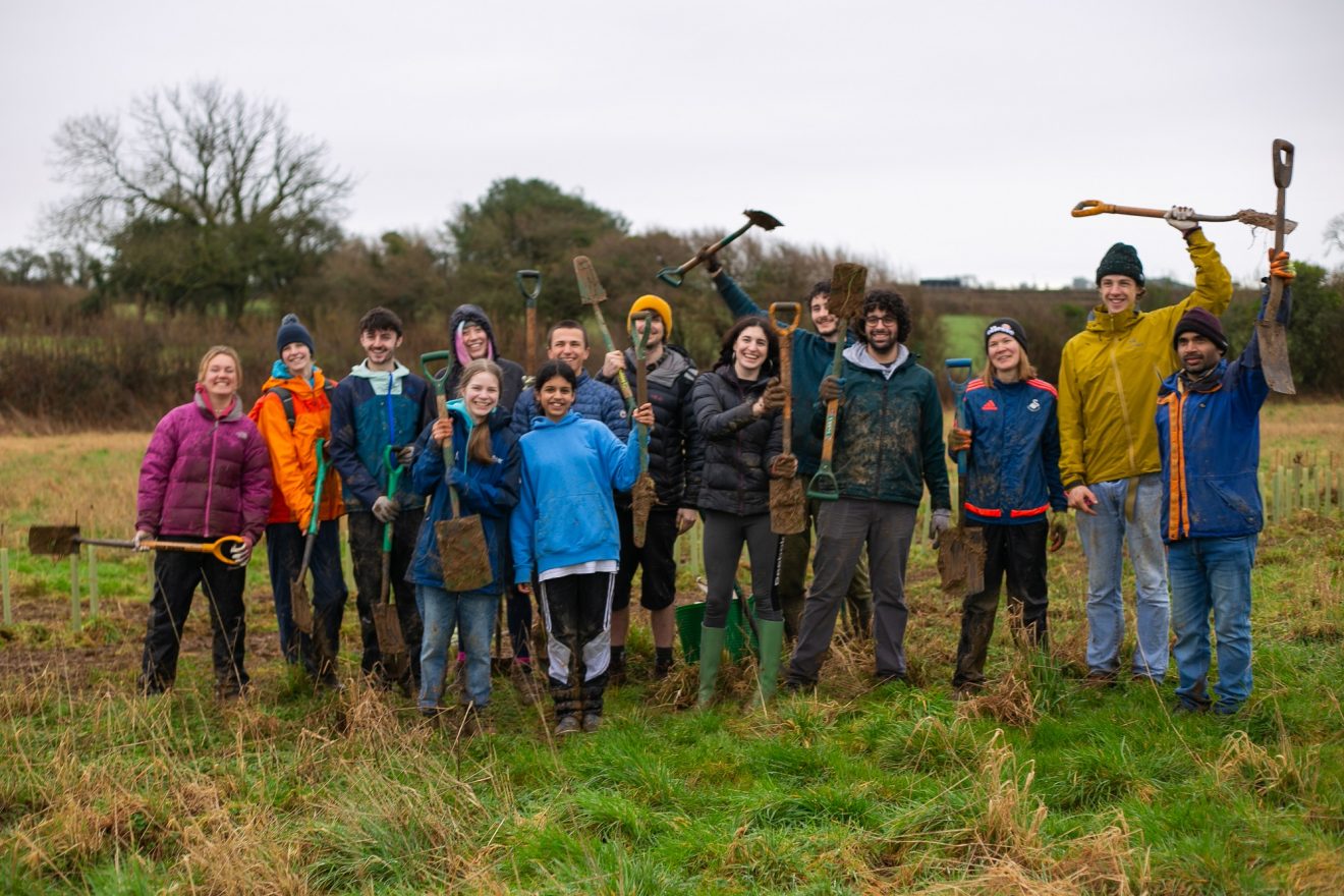 Swansea University’s new Graduation Tree Planting initiative takes root ...