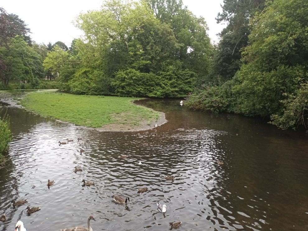 Roath Park Lake once called 'fetid swamp' has transformed - Herald.Wales
