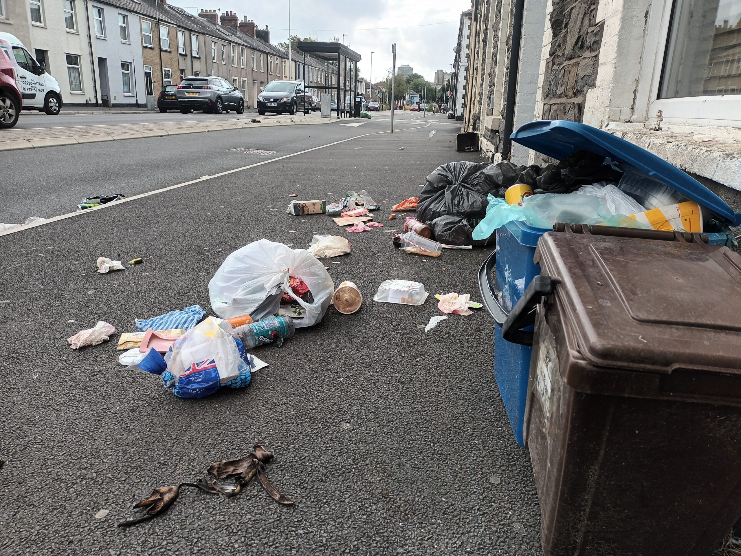 Cathays litter concerns prompt community cleanup initiatives - Herald.Wales