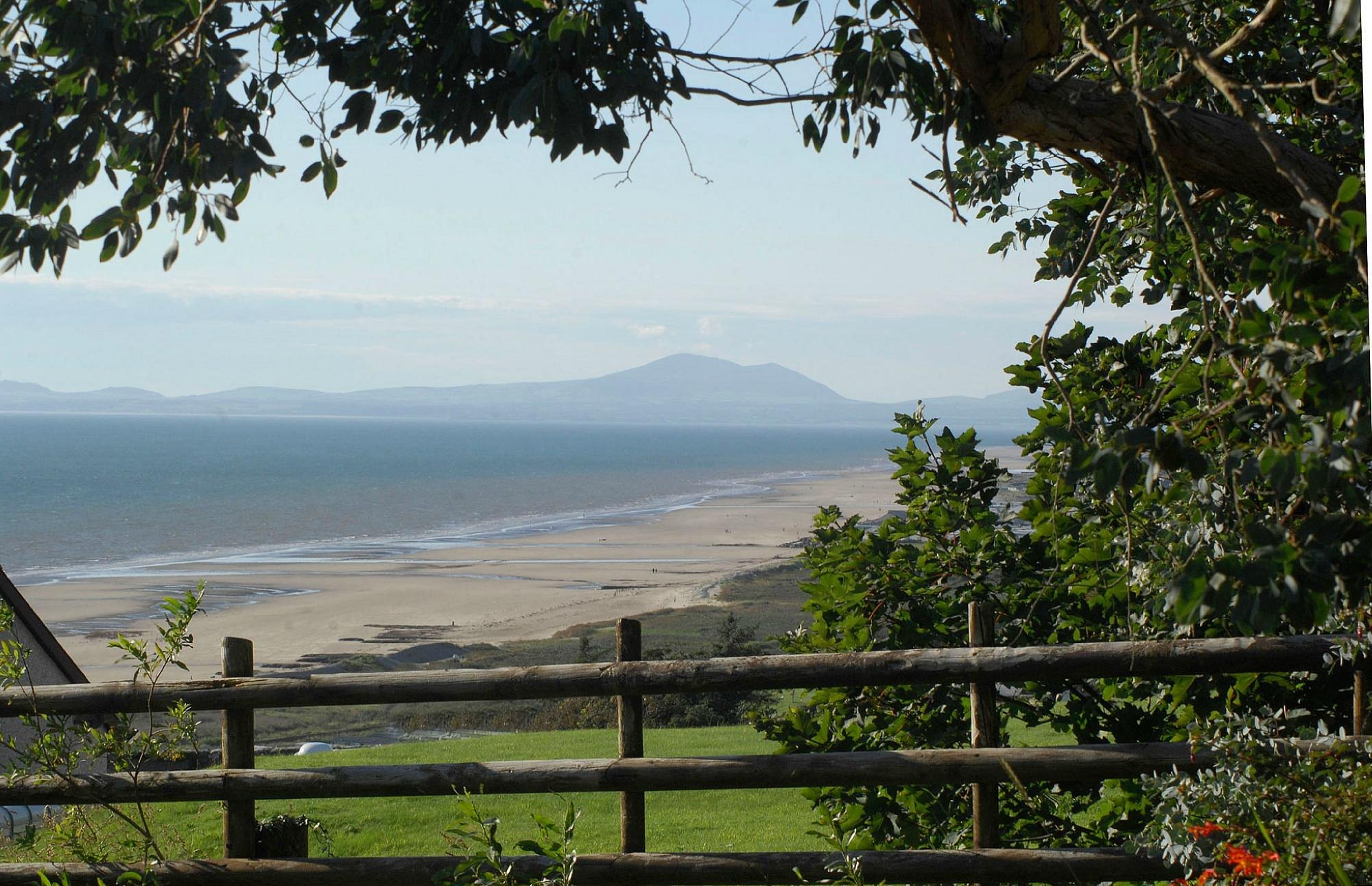 Body found on beach in search for missing 17-year-old - Herald.Wales