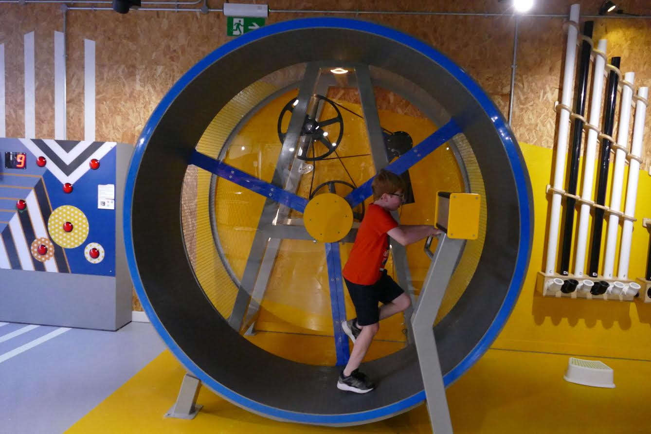 Giant hamster wheel and stop-motion exhibits among new additions at ...