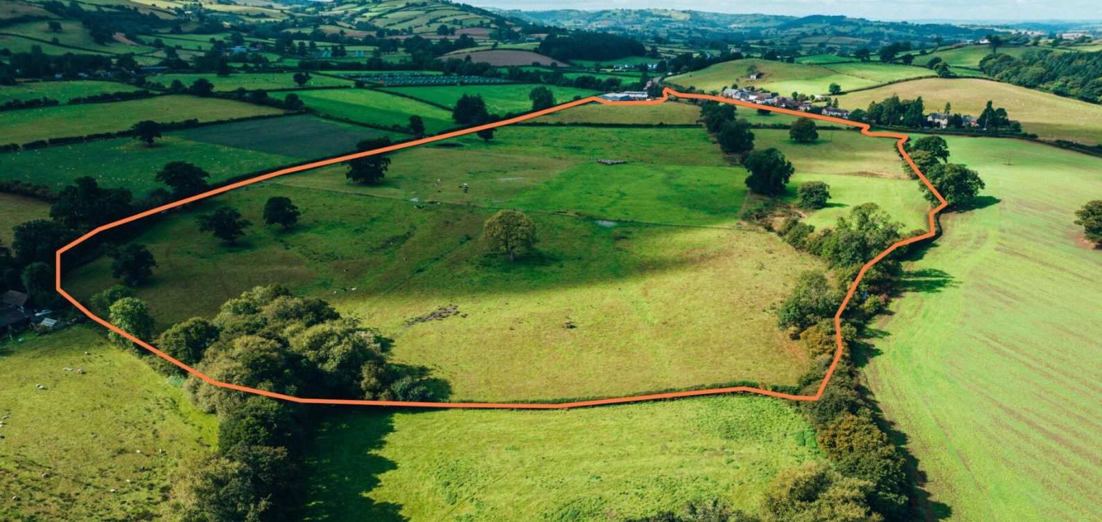 Plans for three farm enterprises near Newtown gets go-ahead - Herald.Wales