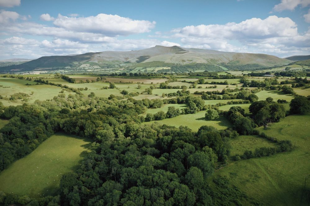 Young people from Wales take a lead in restoring nature, climate and ...