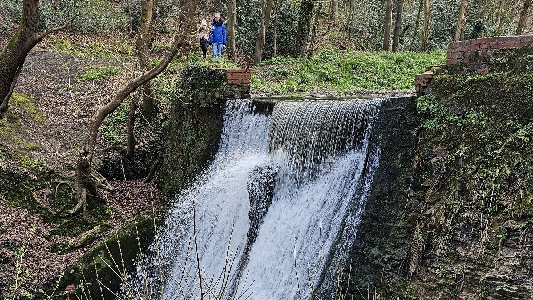 Free parking at Wepre Park could end to cover maintenance costs ...