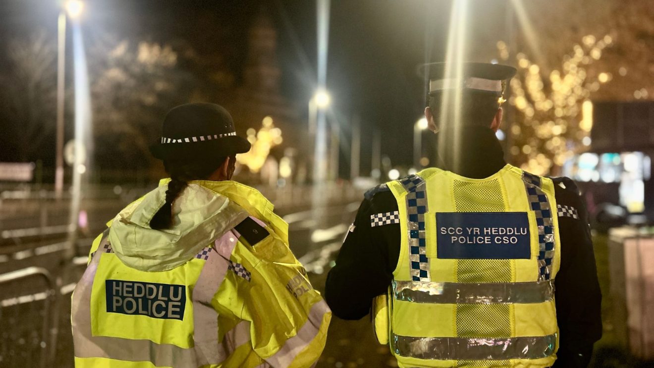 Murder investigation launched following disappearance of Paria Veisi - Herald.Wales