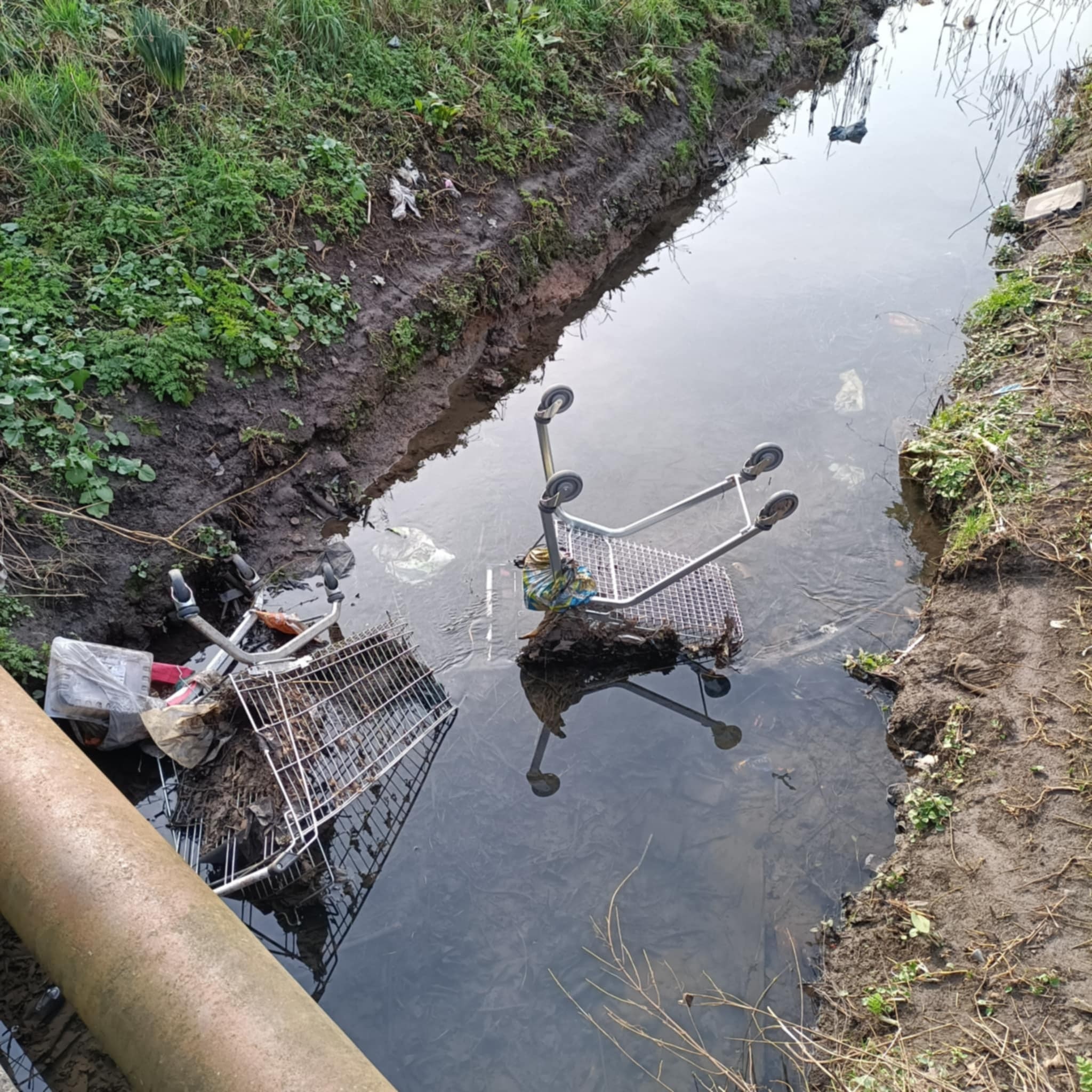 Newport City Council to introduce £100 penalties for abandoned ...