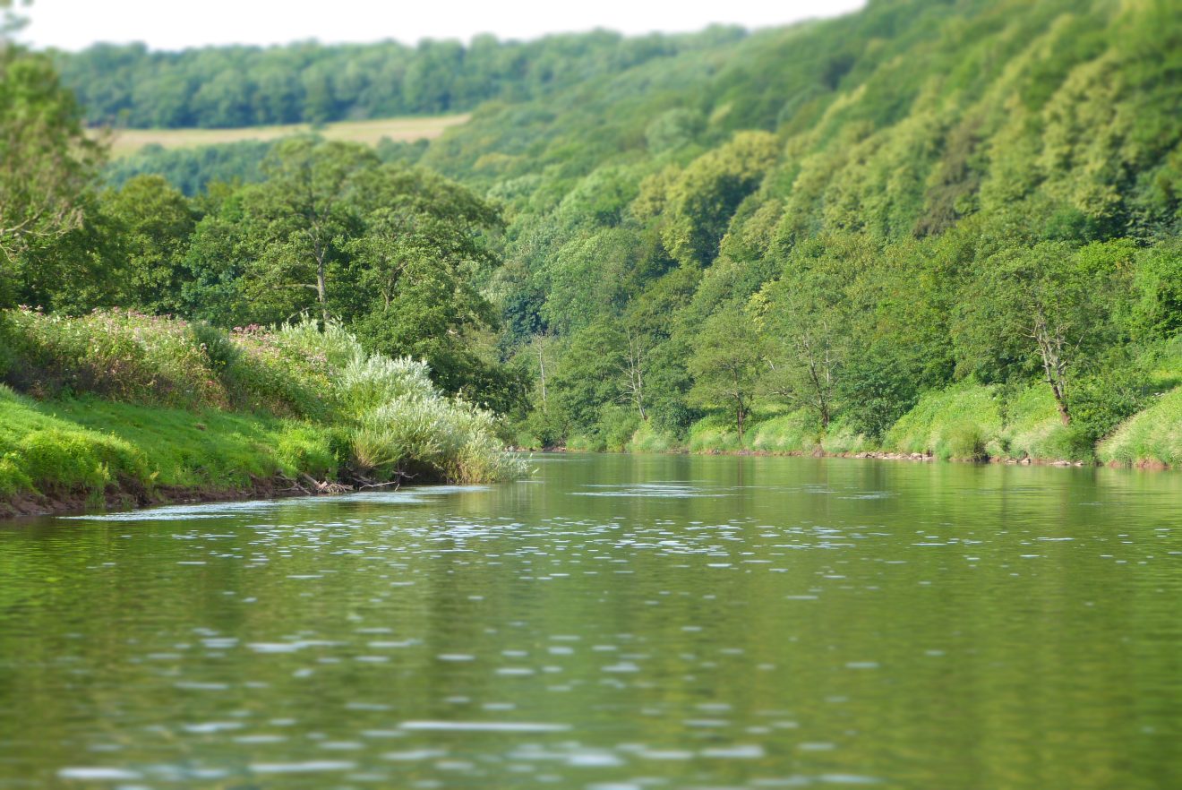 MCC welcome investment to transform the River Wye - Herald.Wales