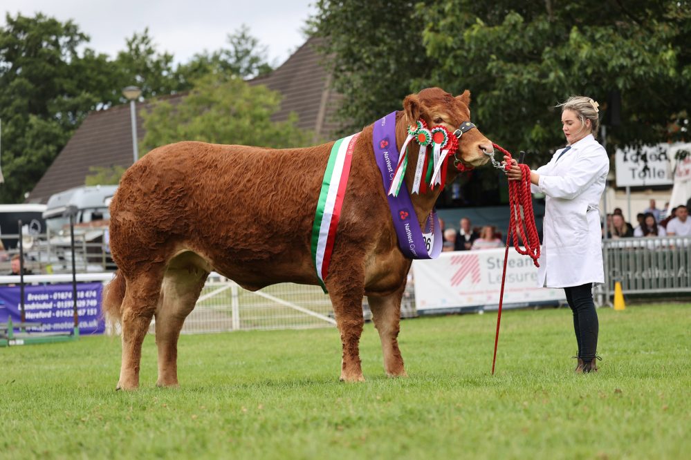 Royal Welsh Show 2025 schedules now live online - Herald.Wales