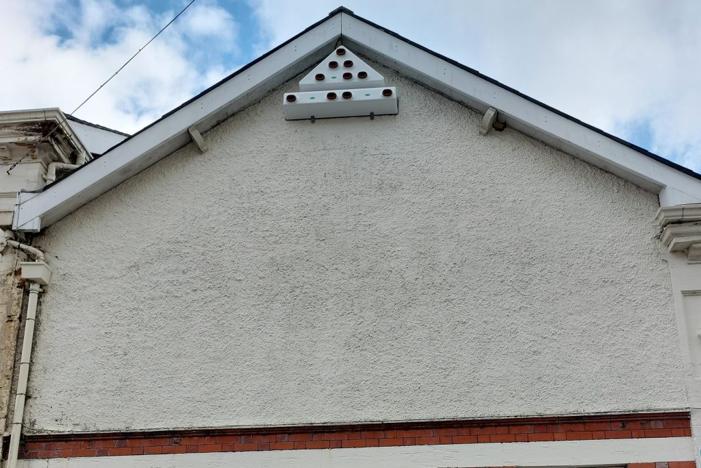 Helping to save our swifts – a new chapter for Pontardawe Library ...