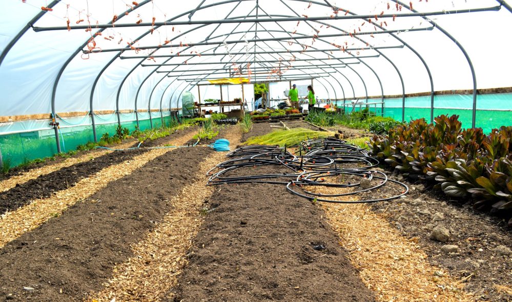 Growth of Welsh microfarm leads to diversification, rebrand and new HQ ...